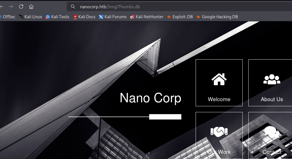 Nano Corp HTB Writeup - Security Walay